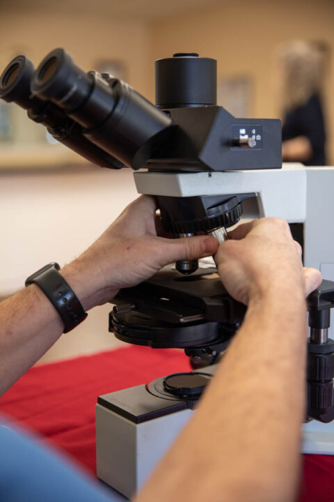 Maintenance - Southern Microscope