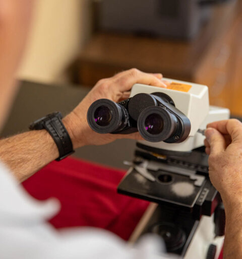 About - Southern Microscope